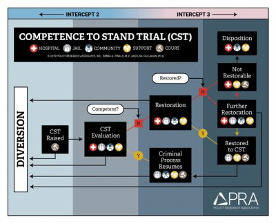 Competence to Stand Trial Mapping Workshops | SMTC | Policy Research ...